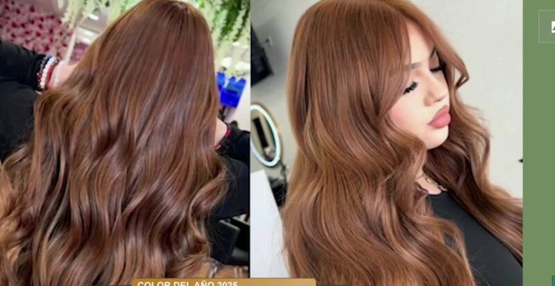 ¿Cómo aplicar el Mocha Mousse en tintes para cabello? - Extra TV